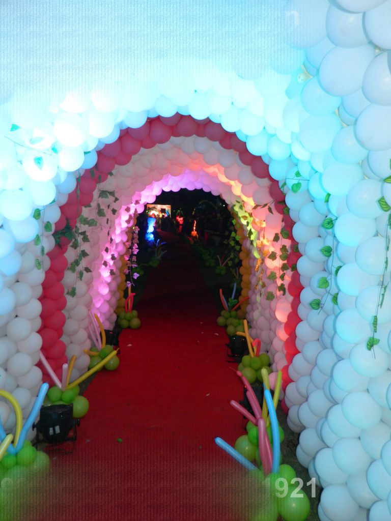 Birthday Party Ideas Birthday Party Platinum Plus Package ...